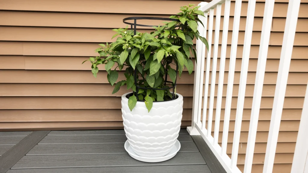 Clamshell Trex Deck | Voyager Exteriors